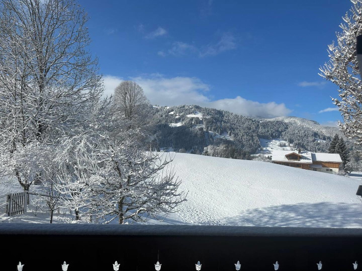 Gstaad Gem: Best Alps View & Serene Pond - Saanen