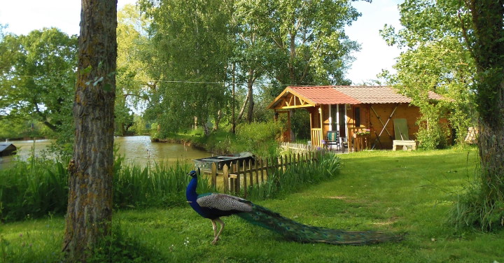 La Cabane à Léon - Indre