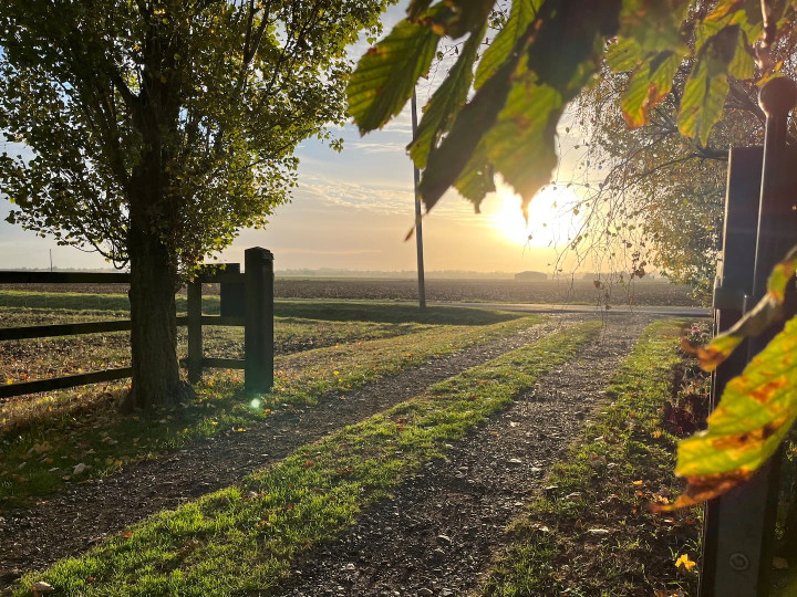 Willow Lodge, Tranquil & Stunning Views Near Ely! - Cambridgeshire