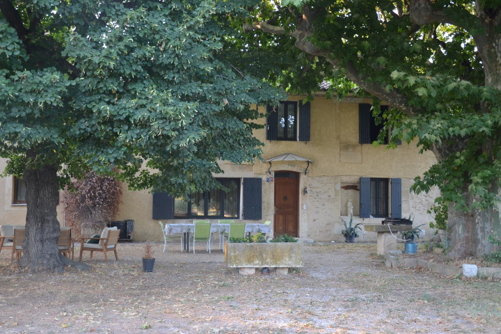 Mas Provençal Entouré D'oliviers - Graveson
