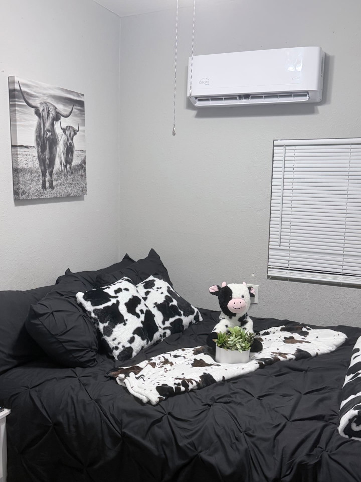 Pili House~ Country Cow ~ Clean, Cold A/c, Comfy ~ - Corpus Christi, TX