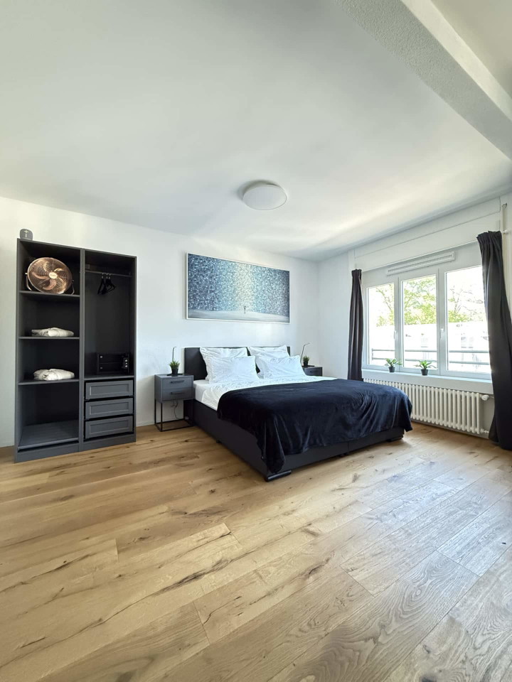 Stylish Studio Apartment Near The Olma Trade Fair - St. Gallen