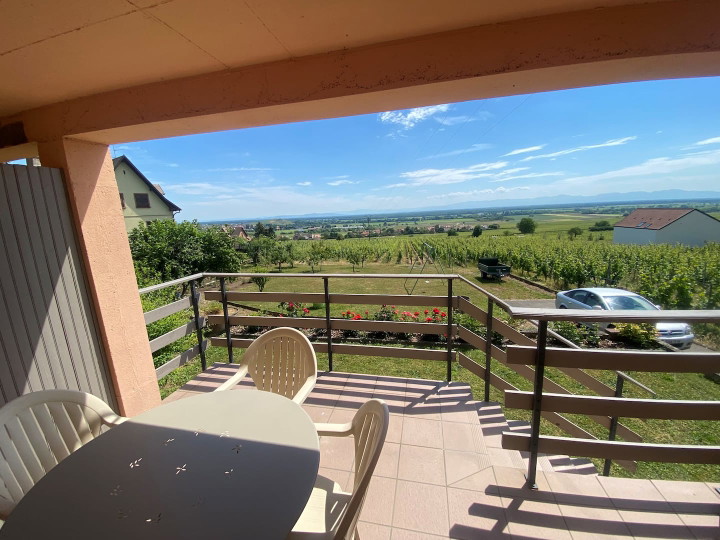 Gîte Du Vignoble Avec Vue Sur La Plaine D'alsace - Alsace