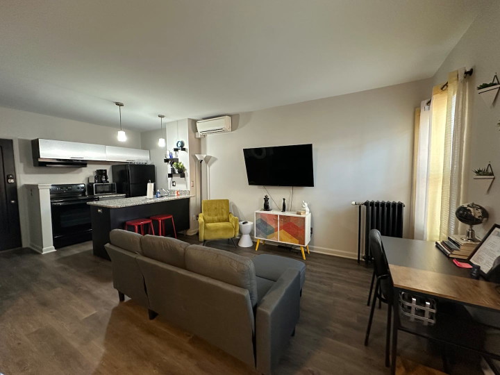 Downtown Royal Oak Pet Friendly Studio! 310-102 - Sterling Heights, MI