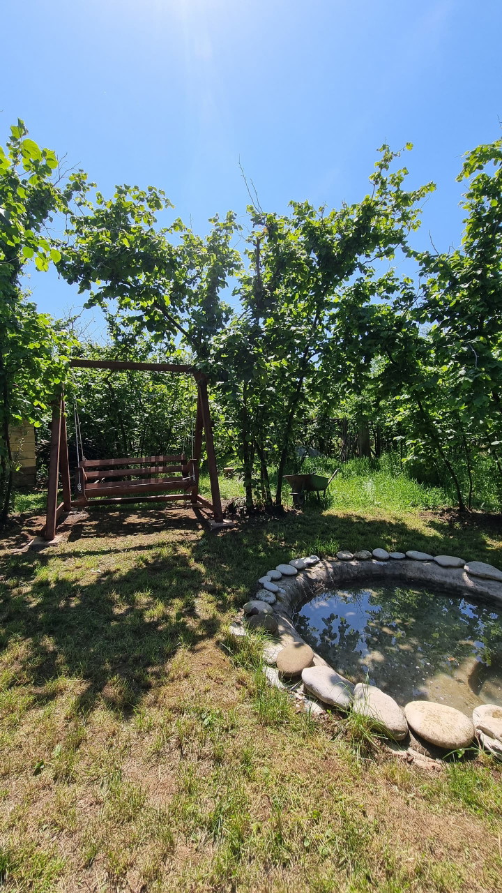 Akçakoca Bağ Evi Doğanın İçInde Size ÖZel Bahçesi - Bolu