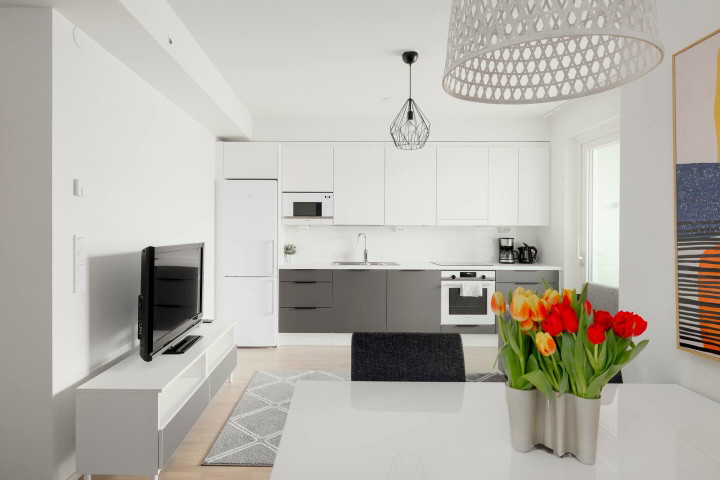 Modern Luxury Triangle, Best Location - Helsinki