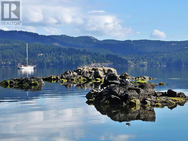 Oceanfront Black Otter Cove W/hot Tub - Sooke