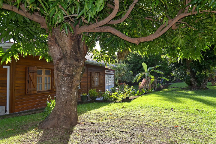 Charming Les Arawaks Cottage In A Tropical Garden - Guadalupe