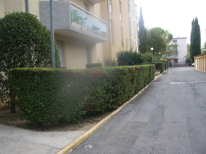 2 Pieces De 50 M2 Avec Terrasse De 10 M2 - Draguignan