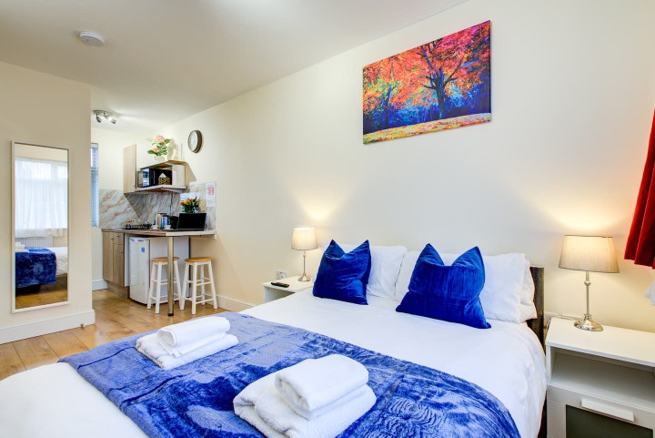 Bright Cosy Studio & Free Parking-greater London - Chingford