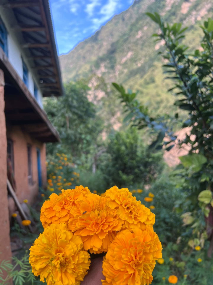 Peaceful Mountain Home With Free Wi-fi - Nepal