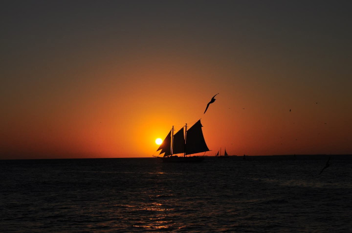A Place In The Sun - Florida Keys