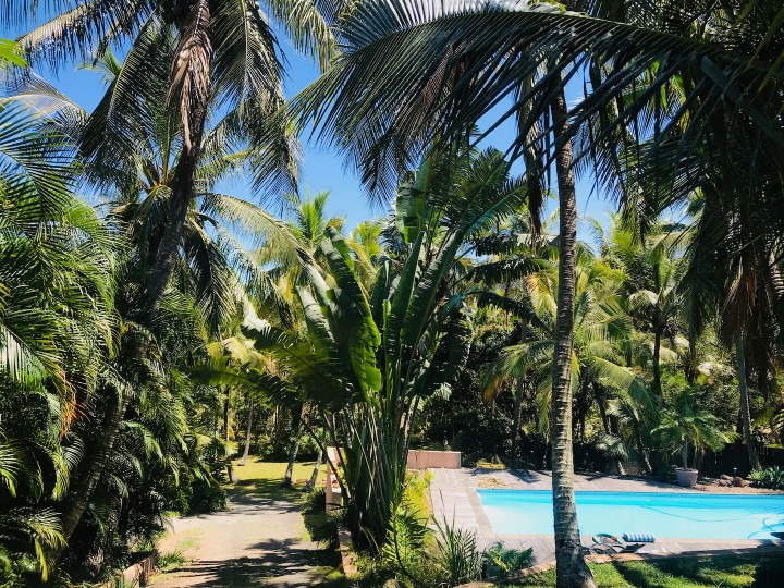 With Family In The Heart Of A Coconut Grove - New Caledonia