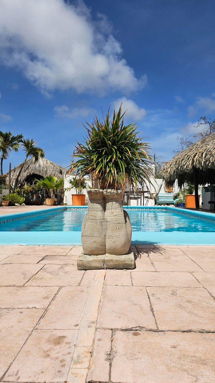 Large Guesthouse With Private Pool - Aruba