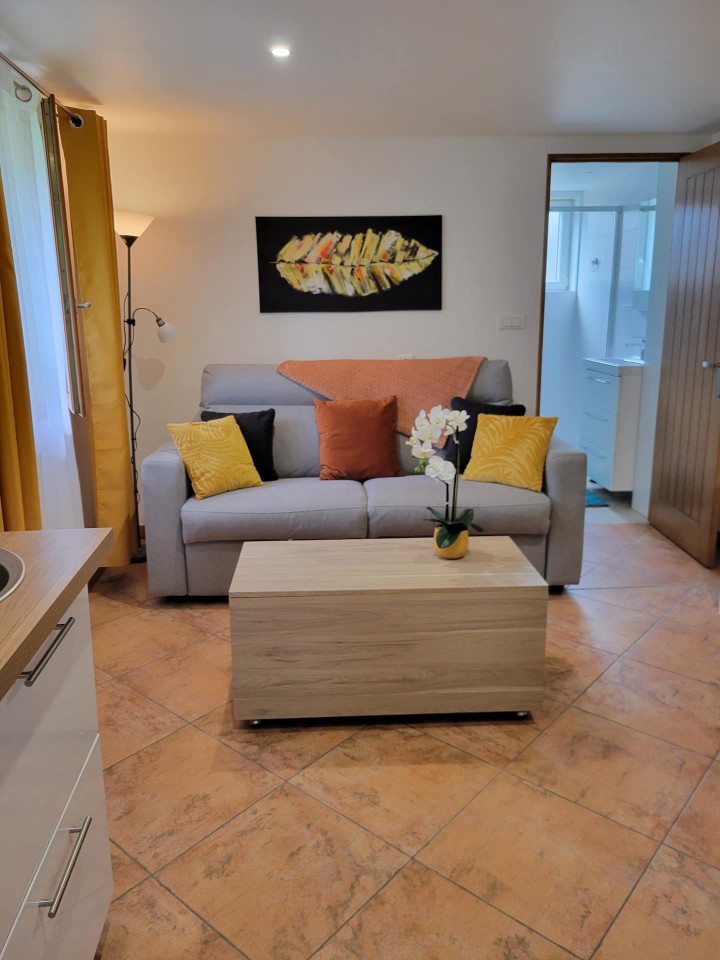 Studio Plain-pied & Terrasse. Parking Privé Fermé - Strasbourg