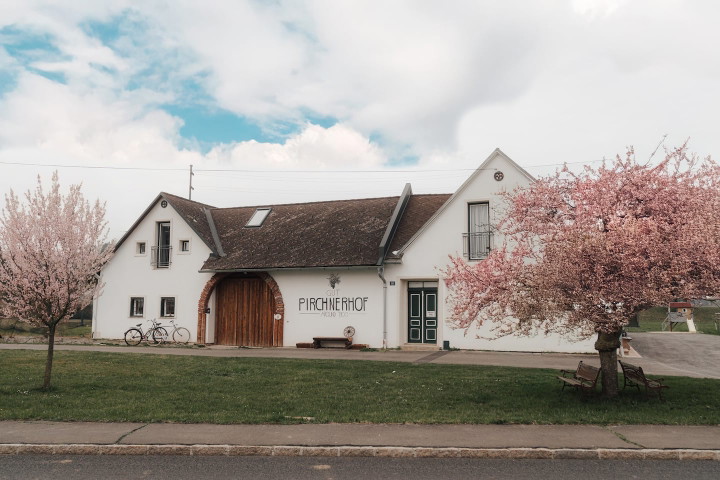 Vierkanthof In Southern Burgenland - Burgenland