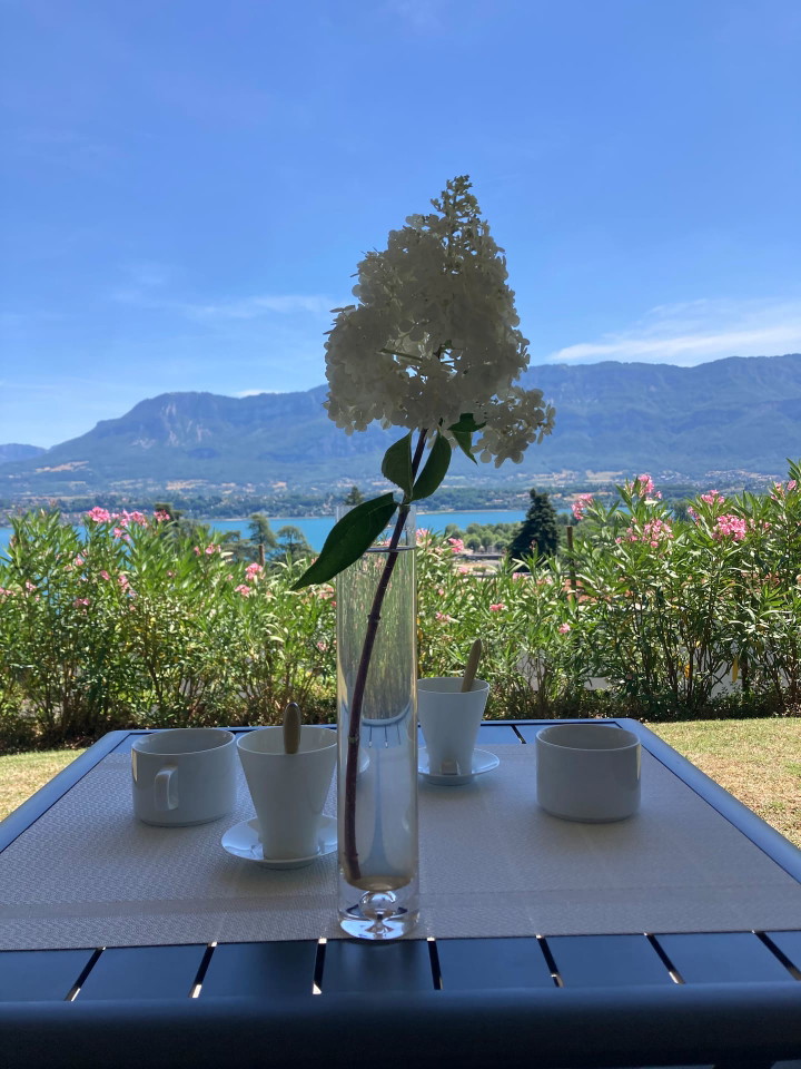 Meublé 3* Le Bourget, Plage, Technolac Et Vue Lac - Le Bourget-du-Lac