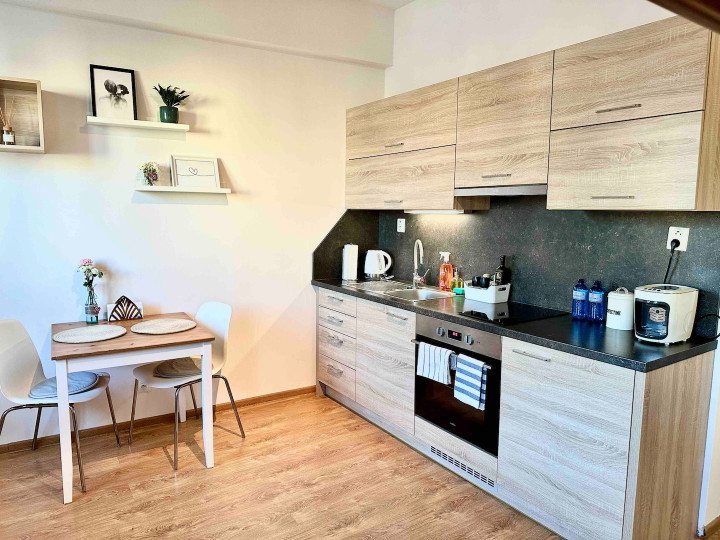 Apartment Stara In Centre Of Brno - ブルノ