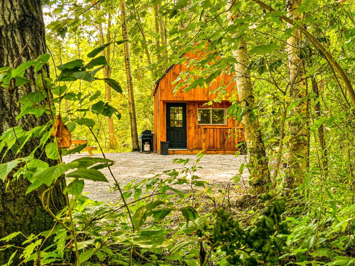 Off-grid Cozy Family Cabin - Delhi, ON, Canada