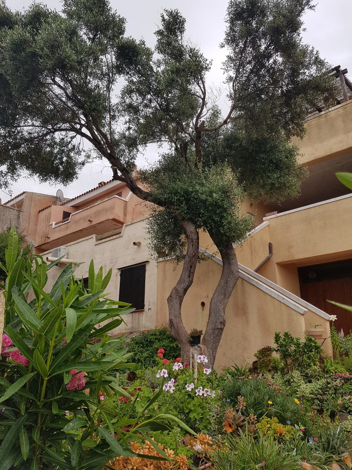 Mirto Holiday Home 3 Km From Santa Teresa Gallura! - Santa Teresa Gallura