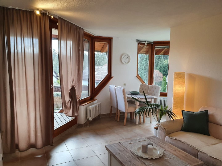 Appartement De Vacances Bärenhofweg Au Titisee - Feldberg
