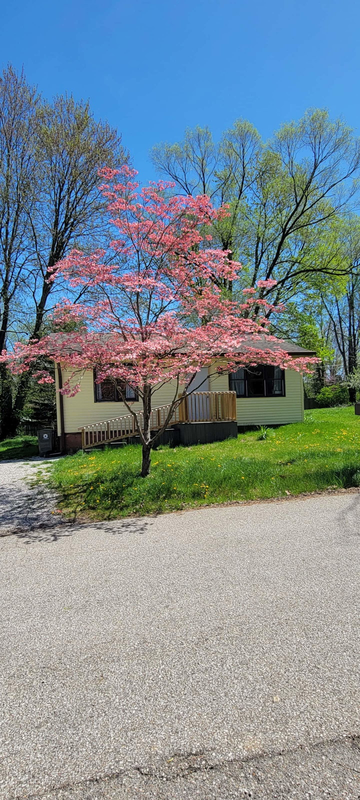 Quiet Bungalow - Bloomington
