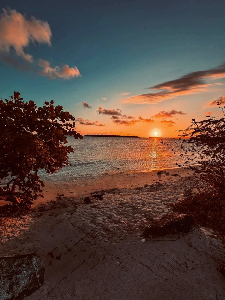 Studio Cerca De Playas, Restaurantes Y Naturaleza - Guanica