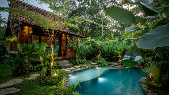 New | Your Private Jungle Escape - Australia