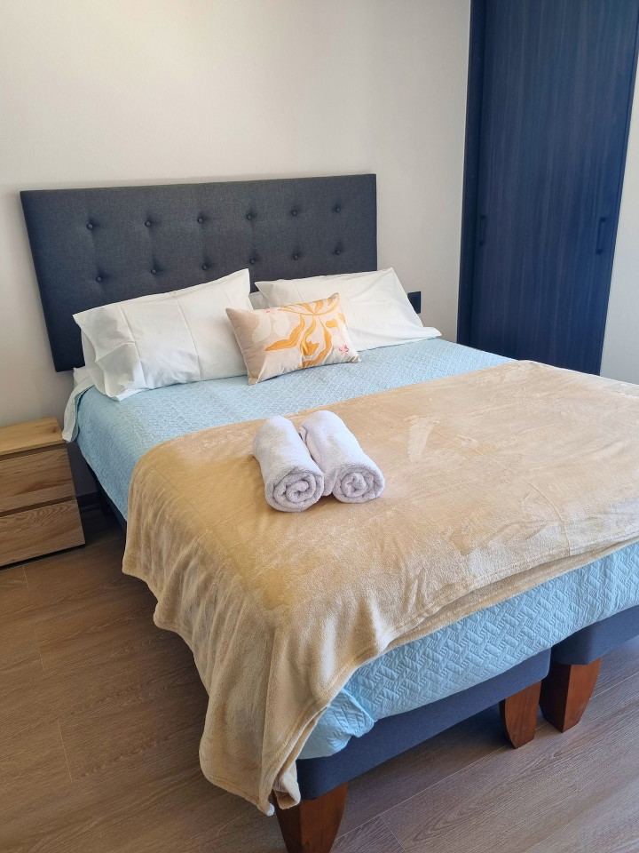 Exclusive Downtown Apartment - Chile