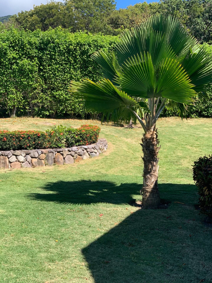 Private Home At End Of Cul De Sac 300 Feet Of Pristine Ocean Views - Montserrat