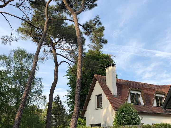 Family Villa  Le Touquet  Forest - Le Touquet