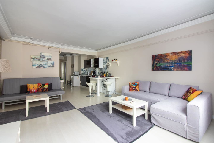 Bright And Spacious 1+1 Apartment In Galata Beyoğlu - Istanbul
