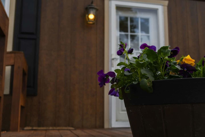 Shady Oak Cottage - Cheraw State Park, Cheraw