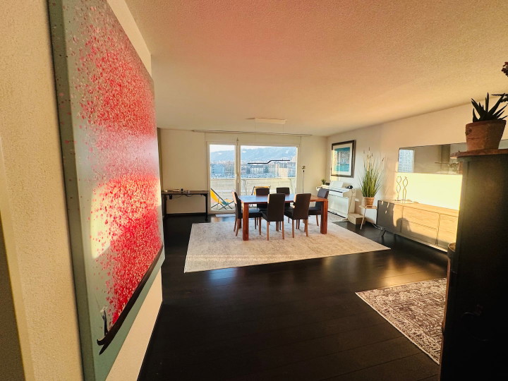 Superbe Penthouse Dans Le Centre-ville De Zurich, Emplacement Idéal - Zurich