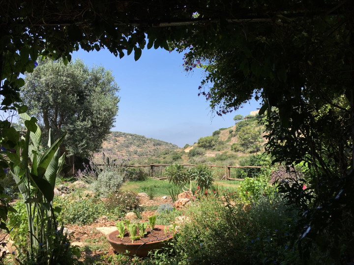 Holiday Rental By The Nature Reserve Kosher - Israel