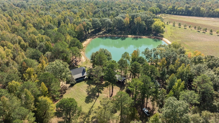 Woodland Gameday Getaway Near Tuscaloosa Pond Views, Pavilion, Firepits & More - Alabama