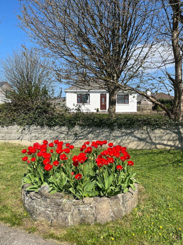 Glebe Cottage - Sligo