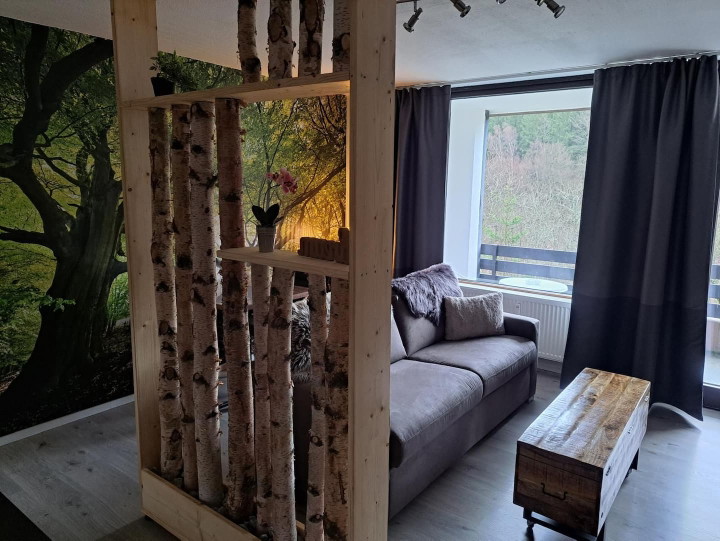 Appartement In Der Büre C - Winterberg