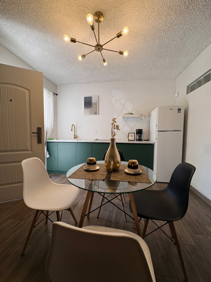 Lovely Loft / Mini-split Air Conditioning / Central Location / All-in-one - Monterrey