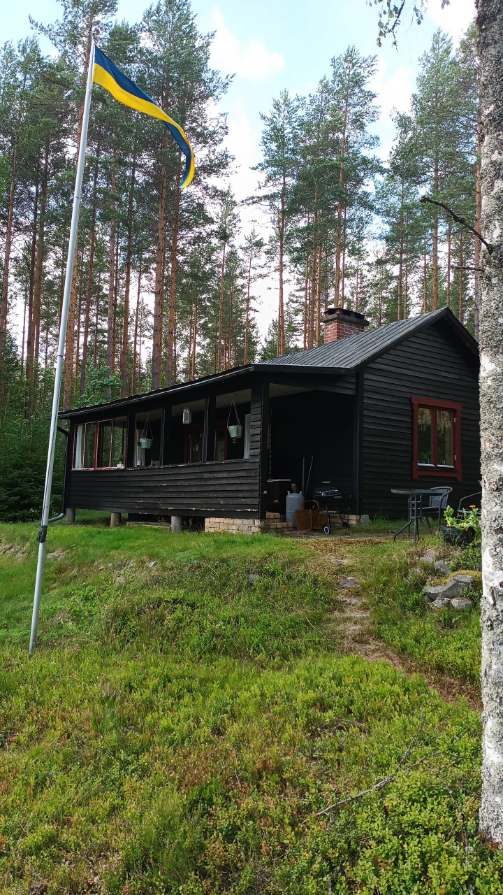 Lungnet - Sweden
