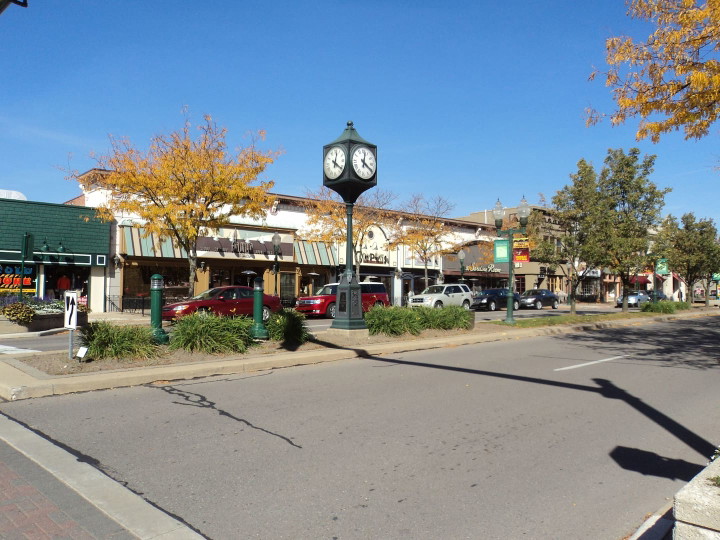 Walk To Downtown Plymouth! - Livonia