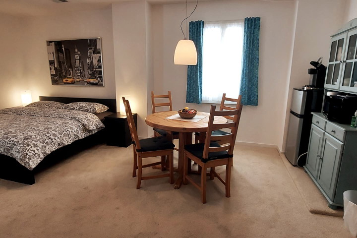 Lovely 1-bedroom With Own Bath In West-windsor, Nj - Princeton, NJ