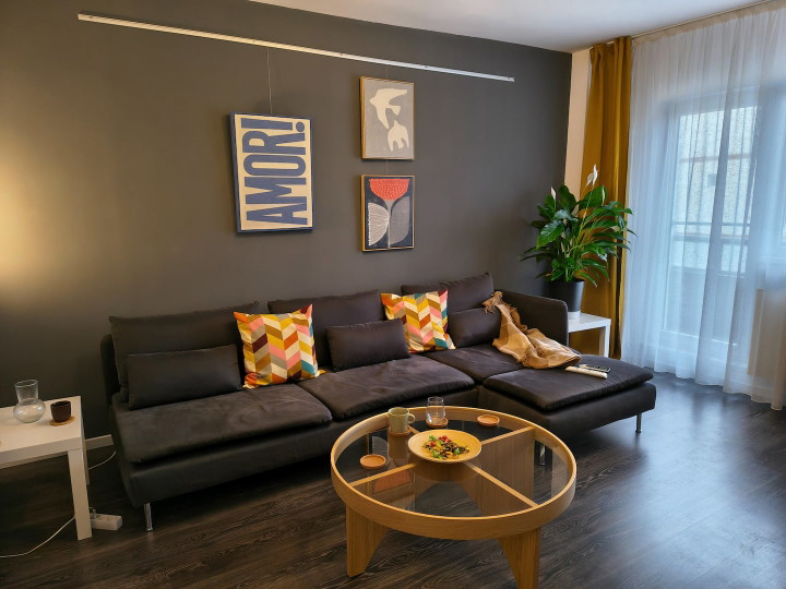 Student Grey. Spacious. Balcony. King + 2 Sofas - Timișoara