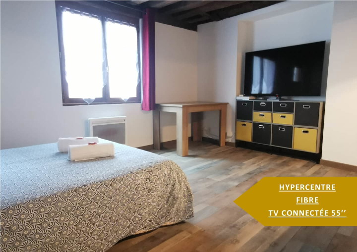 Studio De L'empereur, 27m² Cosy*chaleureux*rénové - Orléans
