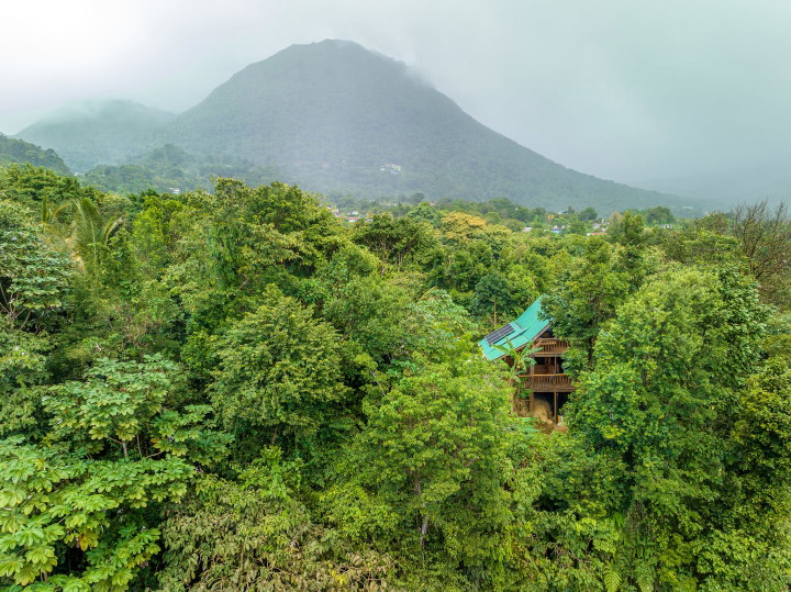 Humming Bird Haven - Dominica