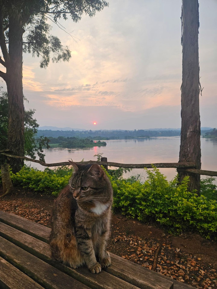 Nile River Camp Studio - Uganda