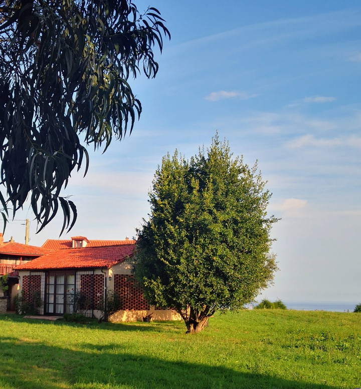 Solenzara
Atalanta Village
Cudillero
Rural Apt - Pravia