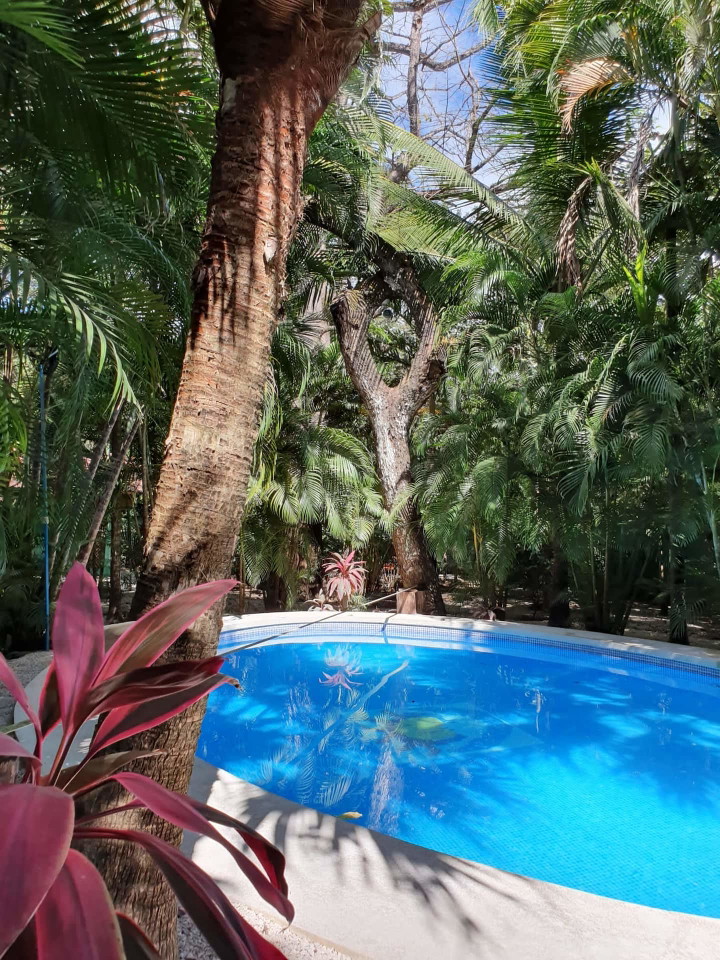 Mawar Jungle Beach House - Nosara