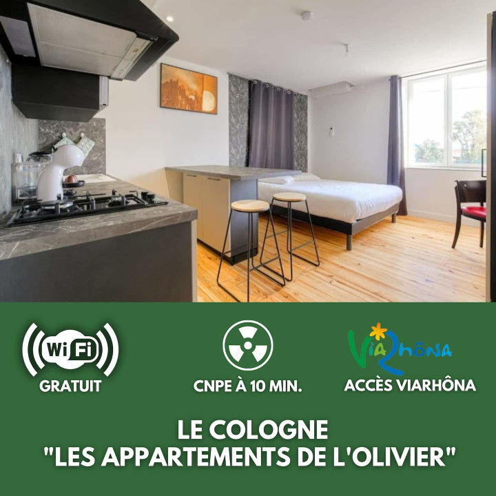 Le Cologne - "Les Appartements De L'olivier" - Aéroport de Lyon-Saint Exupéry (LYS)