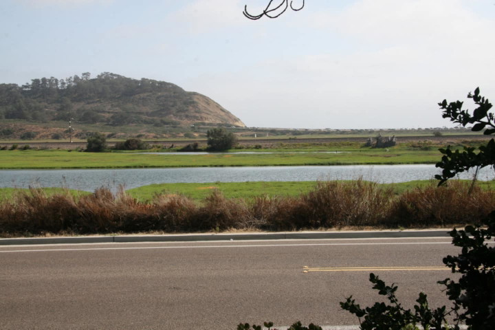 Del Mar/torrey Pines-walk To Beach & Restaurants! - Del Mar, CA